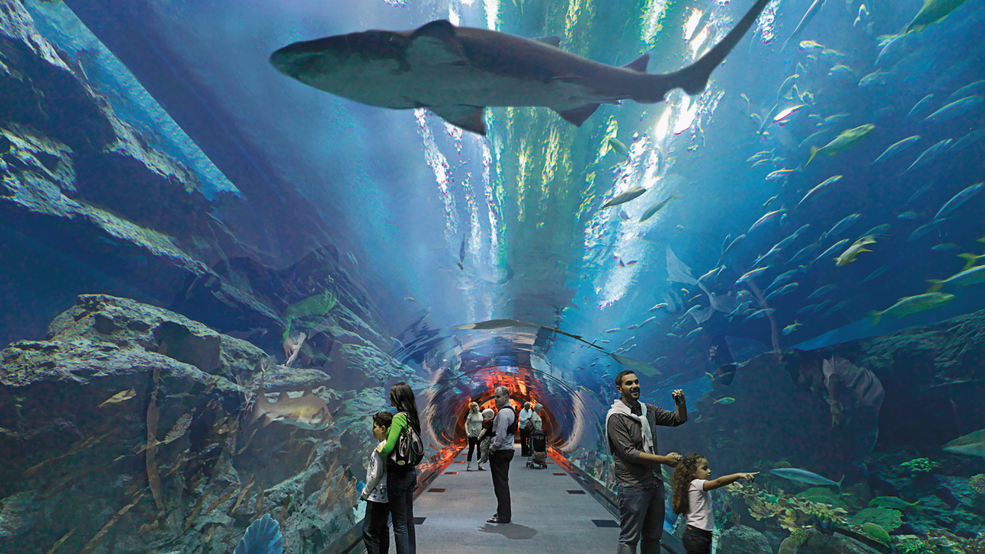 Super Pass | Dubai City Tour | City Sightseeing Dubai