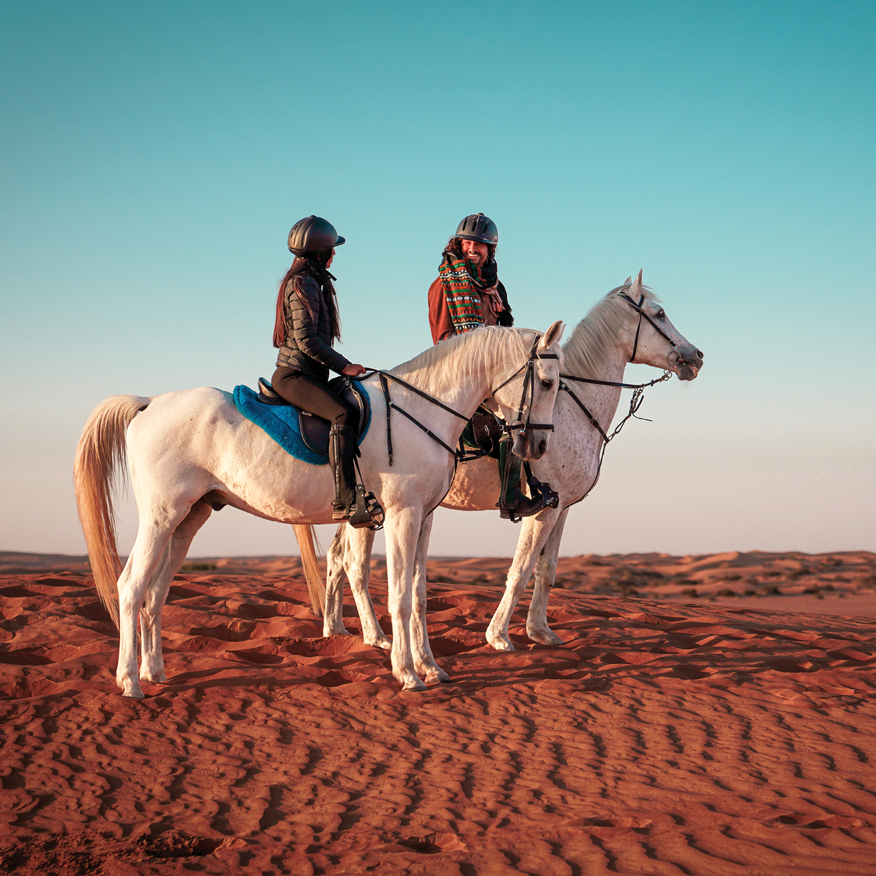 Arabian Horseback Ride in a Private Vehicle | Horse Riding Tours Dubai
